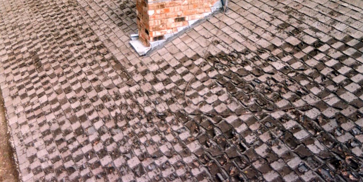 Asphalt Shingle Damage Diagnosis – InterNACHI Inspection Narrative Library