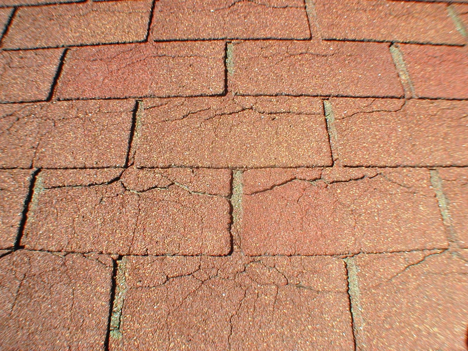 Asphalt Shingle Damage Diagnosis – InterNACHI Inspection Narrative Library
