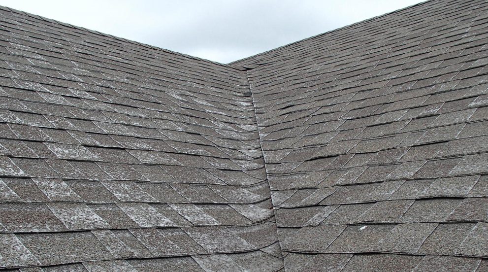 Granule Loss – InterNACHI Inspection Narrative Library